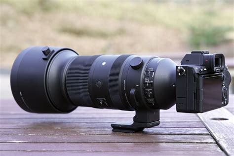 SIGMA 60-600mm F4.5-6.3 DG DN OS | Sports 実写レビュー