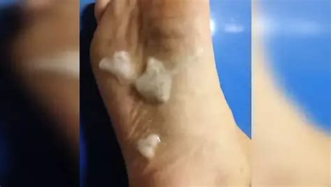 My Cum Covered Feet Pic Compilation Xhamster