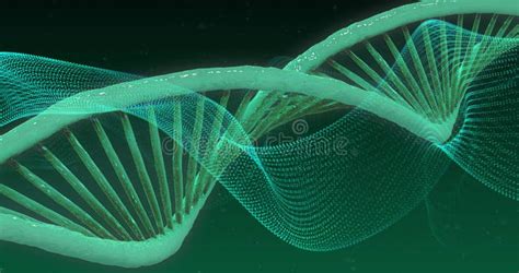 Dna Strand And Binary Coding Scientific Data Processing Stock Video