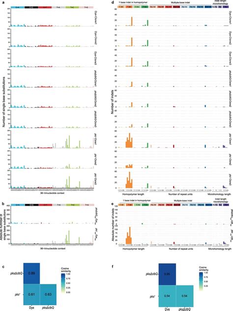 Genotoxic Pks⁺e Coli Induce Sbs Pks And Id Pks Mutational Signatures