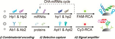 Dual Encoded Affinity Microbead Signature Combinatorial Profiling For Acute Myocardial
