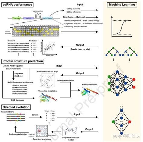 CRISPR Cas9基因编辑技术蛋白质晶体结构解析等技术汇总 知乎