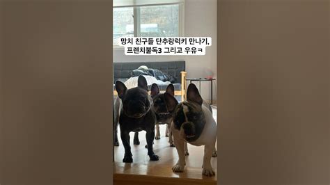 완전 럭키비키 아니 단추쟈나 🖤 Youtube