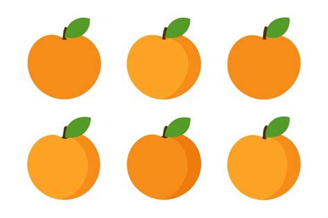 Premium Vector Apricot Color Art Illustration Engaging Bright