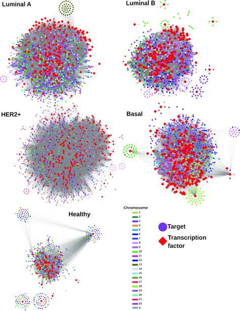 Tf Target Gene Regulatory Networks Grns For All Phenotypes Tfs Are