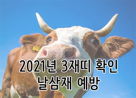 2021년 3재띠 확인 및 날삼재 예방