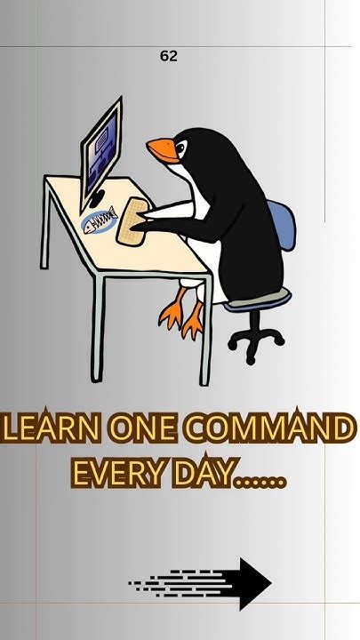 Learn One Command Every Day 62 Linuxtutorial Linuxcommandlinetutorial Linuxcommands Youtube