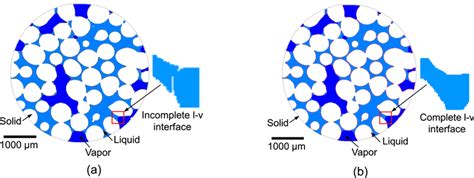 The Comparison Of Liquid‐vapor Lv Interfaces Obtained By Simple Download Scientific Diagram