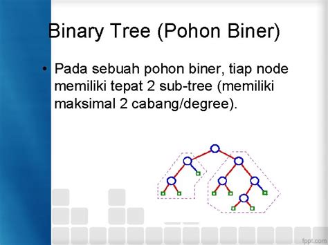 tree tree pohon dalam dunia nyata sebuah pohon