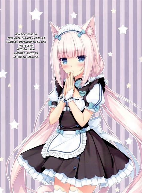 Neko Para Paraíso de las gatitas Poringa
