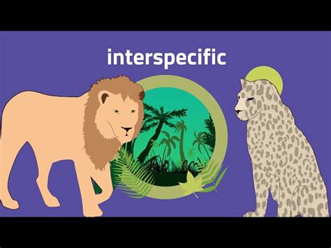 Interspecific Competition Examples In Animals