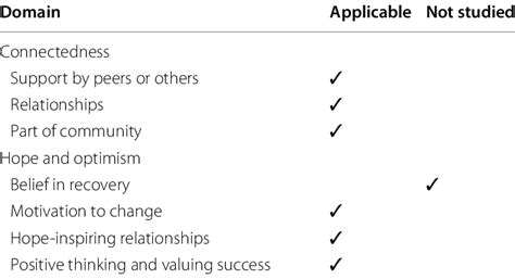 Applicability Of The Chime Framework To Assessing Hikikomori Care