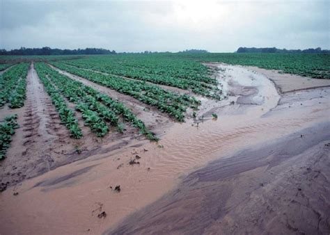 Sediment Is A Major Water Pollutant