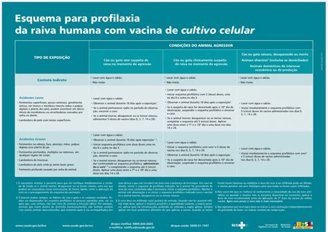 Rede municipal está desabastecida de soro antirrábico pela falta de