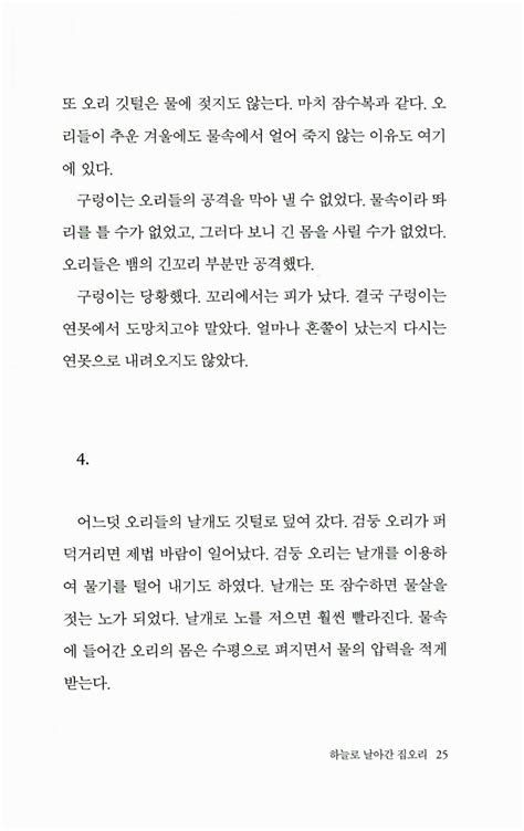 알라딘 미리보기 하늘로 날아간 집오리