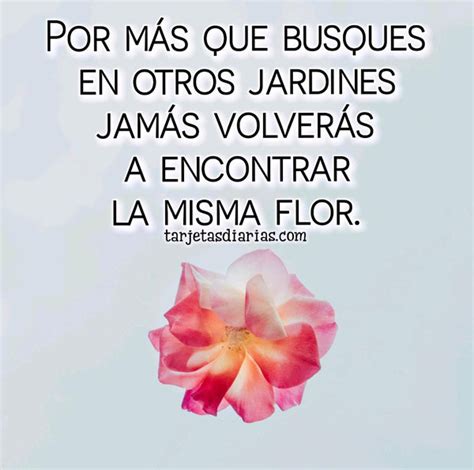 Por MÁs Que Busques En Otros Jardines JamÁs VolverÁs A Encontrar La