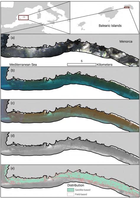 Successive Steps Of The Implemented Cloud Based Workflow A Initial Download Scientific
