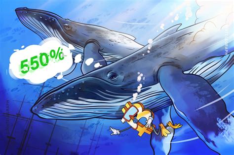 Bitcoin Whale Accumulation Mirrors 2020 Trend Where Btc Rallied 550