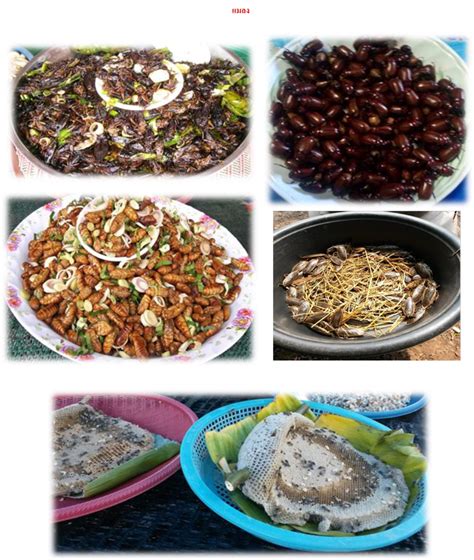 องค์การบริหารส่วนตำบลห้วยไร่ อำเภอคอนสวรรค์ จังหวัดชัยภูมิ Huayraisao Go Th