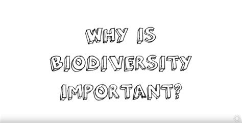 Natural Capital Coalition Why Is Biodiversity Important Video