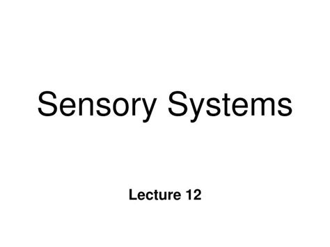 PPT Sensory Systems PowerPoint Presentation Free Download ID