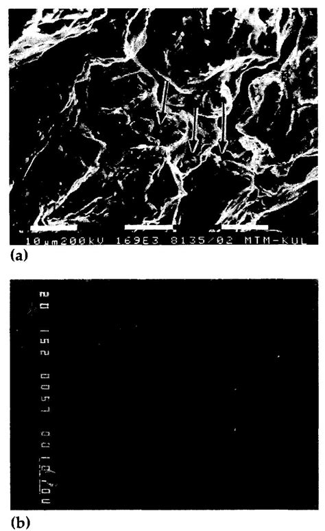 Fic 12 Intergranular Fracture Area A And Scanning