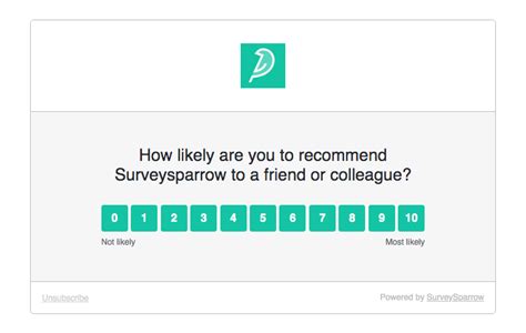 Beginner S Guide For Net Promoter Score Calculation SurveySparrow