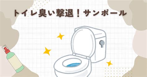 トイレ臭い撃退サンポールで便器は痛む使い方完全ガイド デオドラントなび