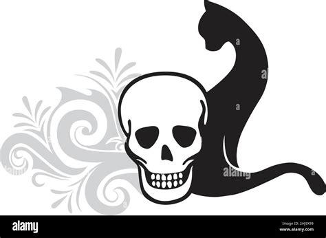 Cat Anatomy Stock Vector Images Alamy