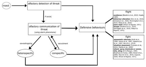 Insects Special Issue Recent Advances In Physiology Of Insect Olfaction