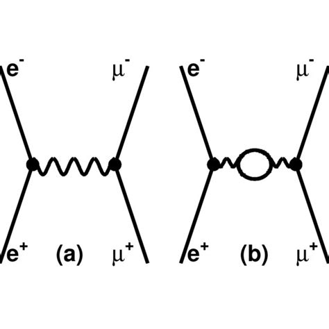 Feynman Diagrams Of The Process E E − → µ µ − A Diagram In The