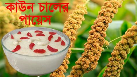 কাউন চালের পায়েস রেসিপি। মজাদার সুস্বাদু কাউন চালের পায়েস। Youtube