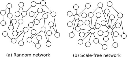 Scale Free Network Wikipedia