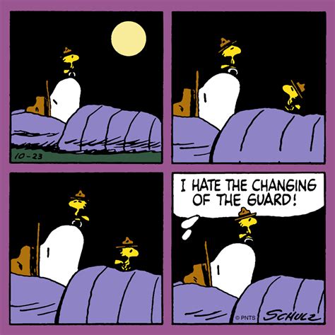 Somebody Has To Man A Post And Keep Watch Peanuts Snoopy Comics