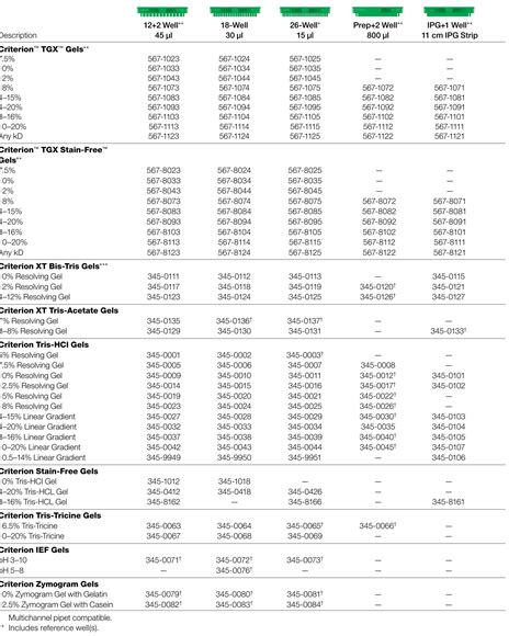 Table 24 A Guide To Polyacrylamide Gel Electrophoresis And