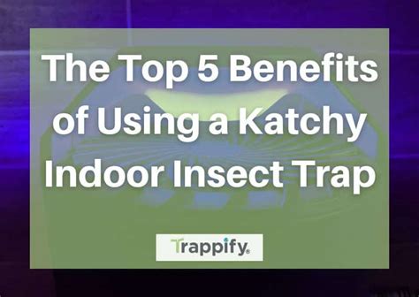 The Top 5 Benefits Of Using A Katchy Indoor Insect Trap Trappify