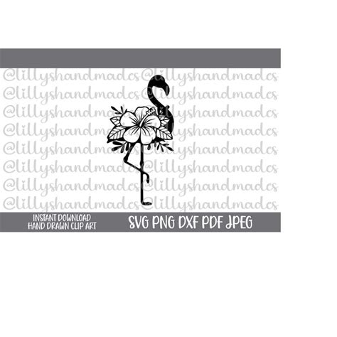 Floral Flamingo Svg Floral Flamingo Png Flamingo Clipart Inspire
