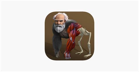 ‎idle Evolution Cell To Human Su App Store