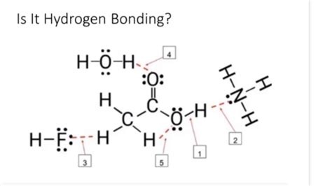 Solved If 5 Is Not A H Bond Because Of Carbon Then Why Is Chegg Com