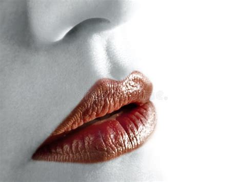 Orli Rossi Immagine Stock Immagine Di Sesso Luminoso 2284995