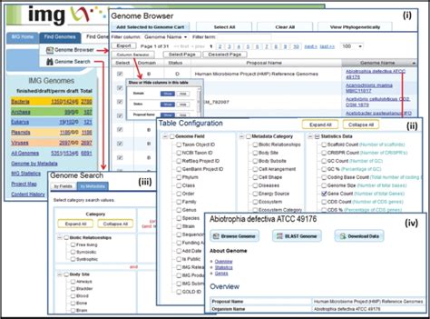 Genome Browser And Search Tools The Genome Browser Displays The Download Scientific Diagram