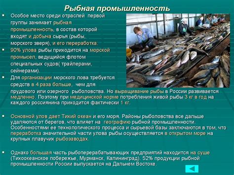 Агропромышленный комплекс. Легкая и пищевая промышленность ...
