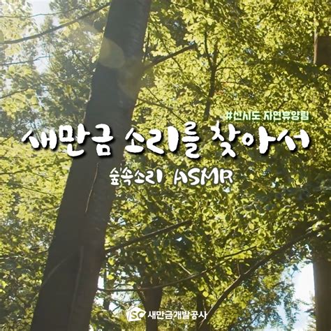 새만금개발공사 새만금 소리를 찾아서 Feat 신시도 자연휴양림의 숲속소리 귀로 여행해보는