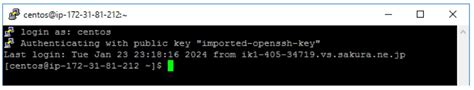 Oracle学習環境構築aws Ec2centos7oracle 19c Step1 Aws Ec2構築