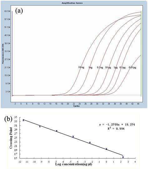 Real Time Pcr And Linear Correlation Of 10 Fold Serial Dilution Of