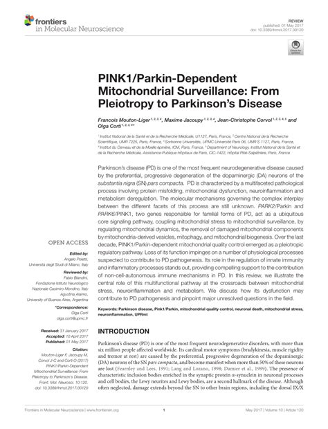 Pdf Pink1parkin Dependent Mitochondrial Surveillance From
