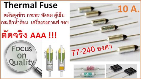 เทอร์โมฟิวส์ ฟิวส์หม้อหุงข้าว ฟิวส์ความร้อน 250 Vac 10 A Thermal Fuse