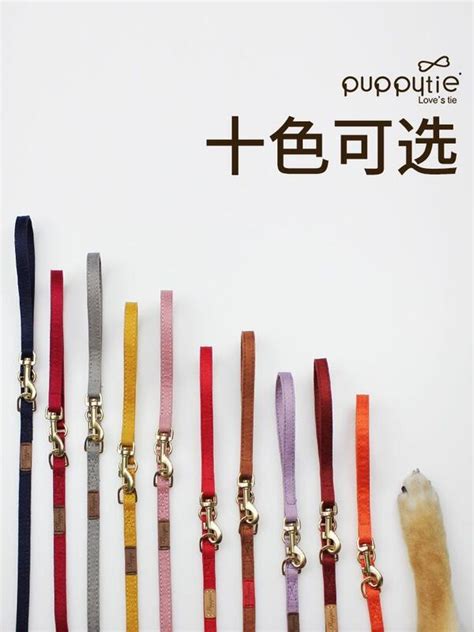 Puppytie狗狗牽引繩背心式小型犬狗繩胸背帶約克夏茶杯犬狗项圈 寵物項圈客製 露天市集 全台最大的網路購物市集