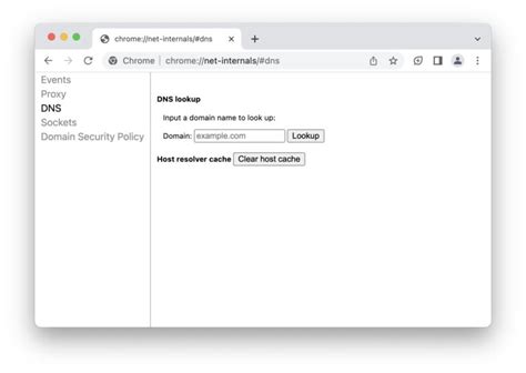 Come Cancellare La Cache DNS Nel Browser Chrome The Digital News