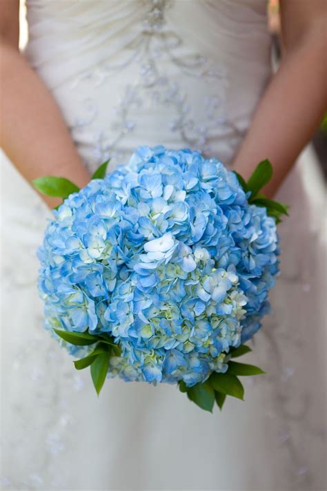 Best Images About Hydrangea And Roses Wedding Bouquet On Pinterest